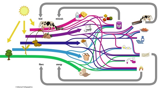 Biorefinery - Bio Based Press